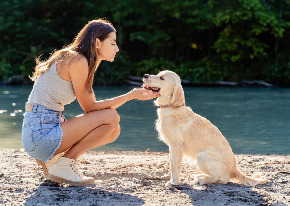 How animals support good mental health - finbuzz